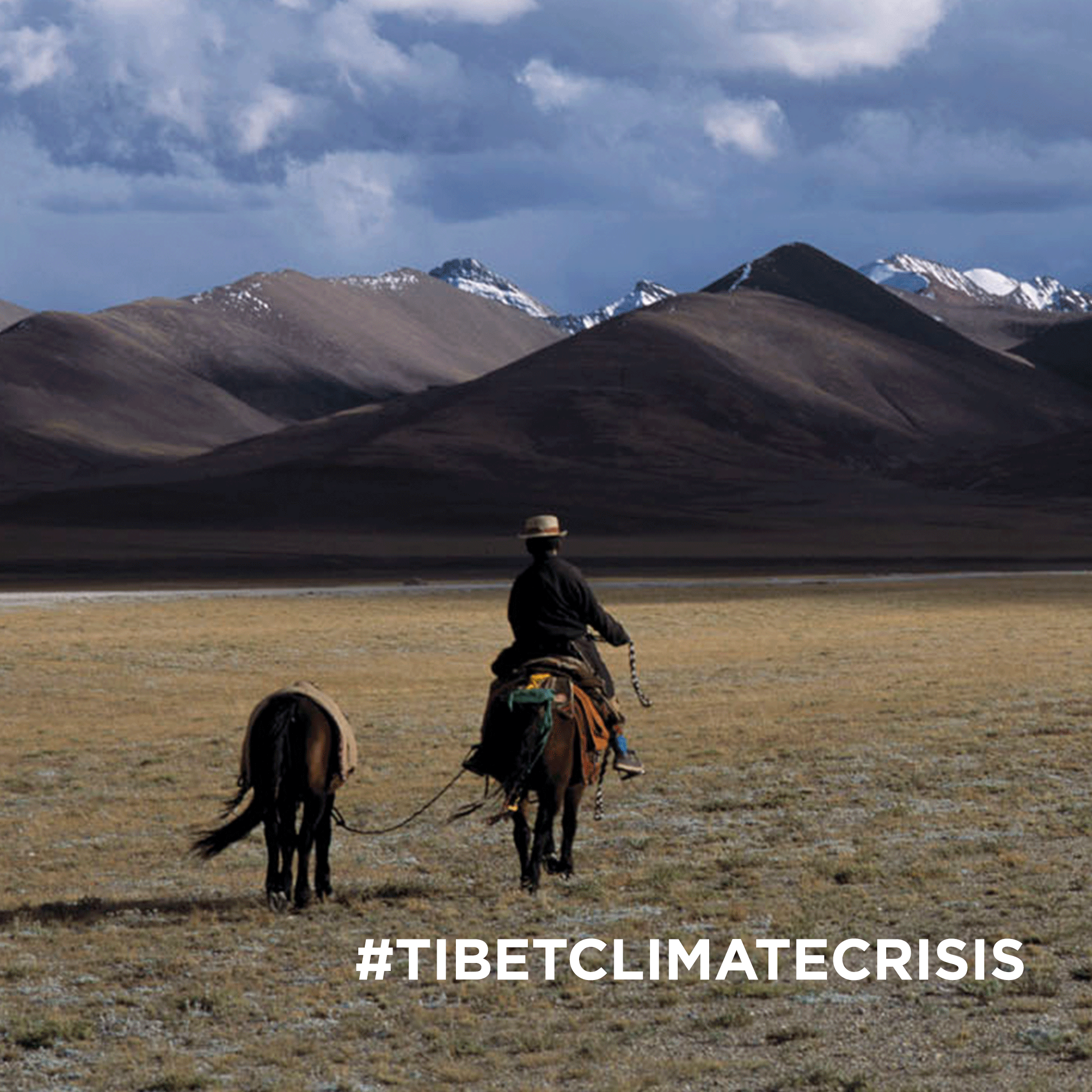 Tibetan Nomad Rights | International Tibet Network